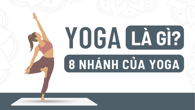 8 Nhánh Của Yoga - Con Đường Đi Tới Hạnh Phúc - Nguyên Yoga