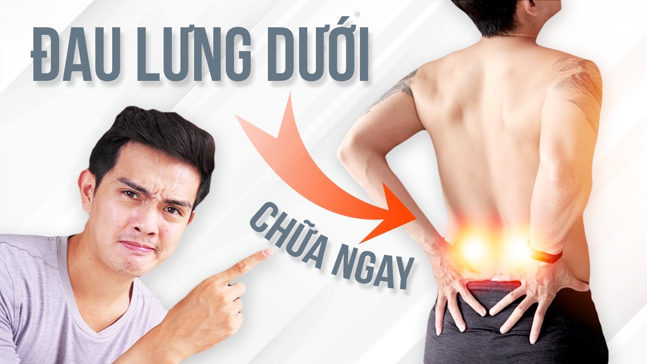 ️ [Video] Đau Lưng Dưới: Nguyên Nhân và Bài Tập Chữa Trị tại Nhà ...