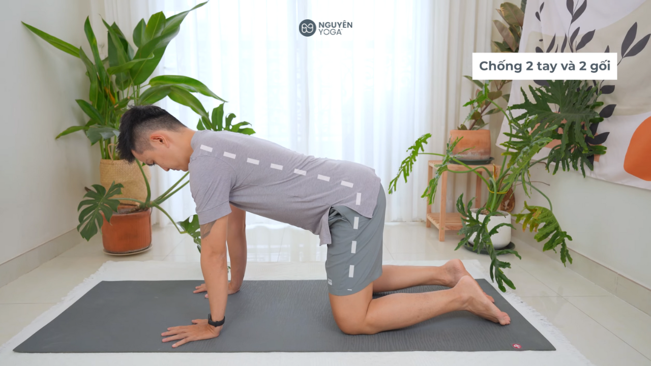 Cổ Rùa: Nguyên Nhân, Tác Hại và Cách Điều Trị Hiệu Quả - Nguyên Yoga