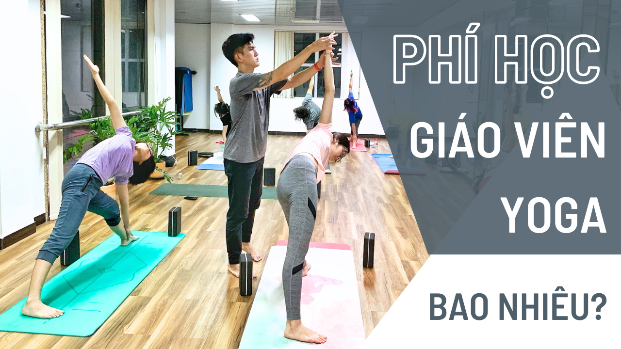 Học Huấn Luyện Viên Yoga Bao Nhiêu Tiền - Nguyên Yoga