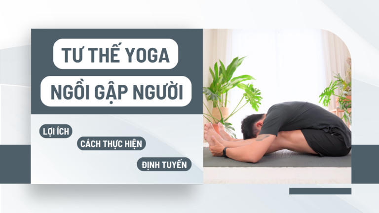 Tư Thế Yoga Ngồi Gập Người: Lợi Ích Hướng Dẫn và Định Tuyến - Nguyên Yoga