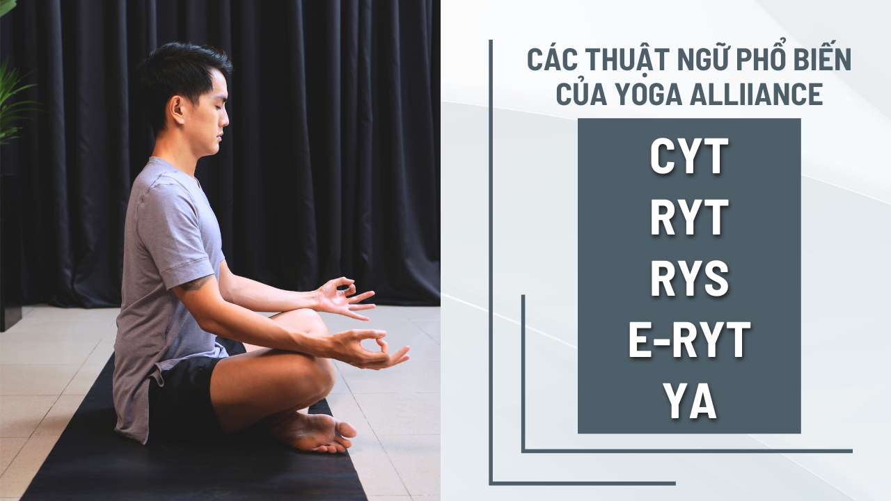 Những Thuật Ngữ Phổ Biến Của Yoga Alliance Mà Yogi Cần Biết - Nguyên Yoga