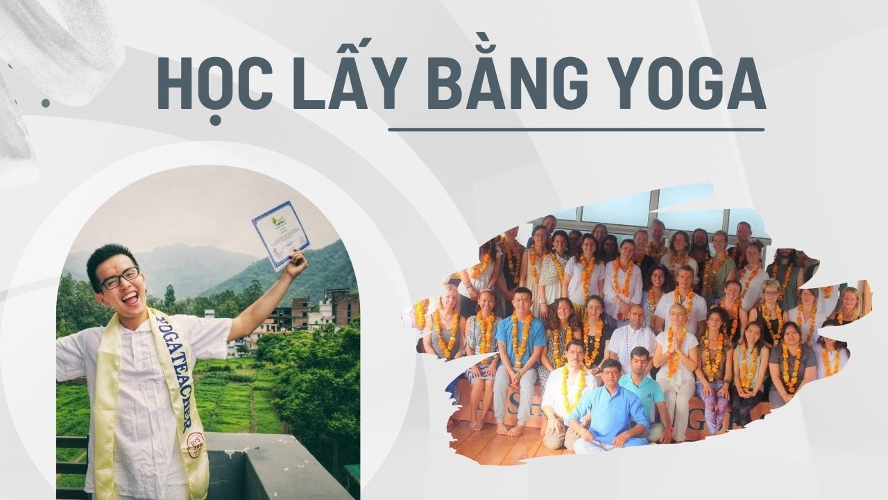 Tổng Quan Về Học Lấy Bằng Yoga - Nguyên Yoga